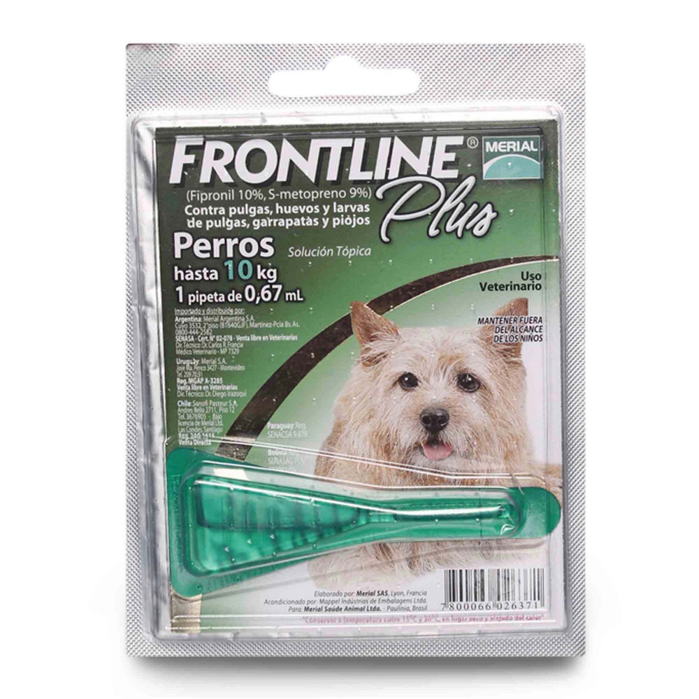 Frontline
