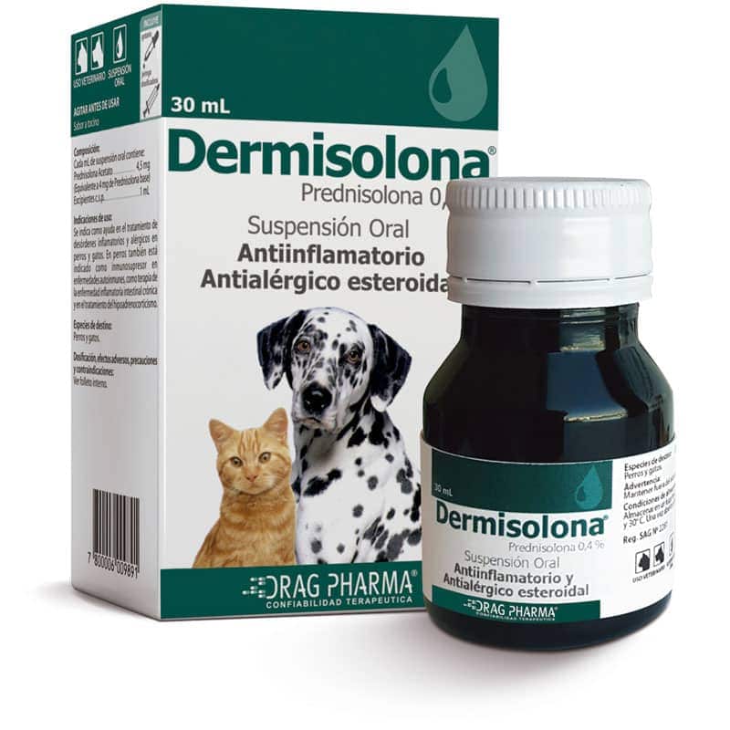 Antinflamatorio y antialérgico para perros y gatos