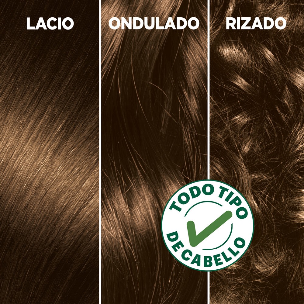 Coloración Garnier 53 Nuez | Farmacias Cruz Verde