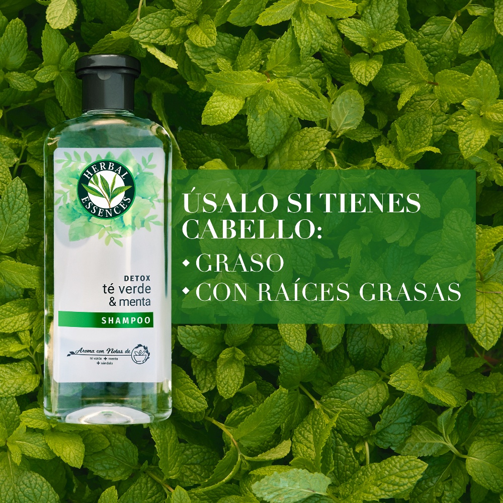 Shampoo Detox Té verde & menta 400 ml | Cruz Verde