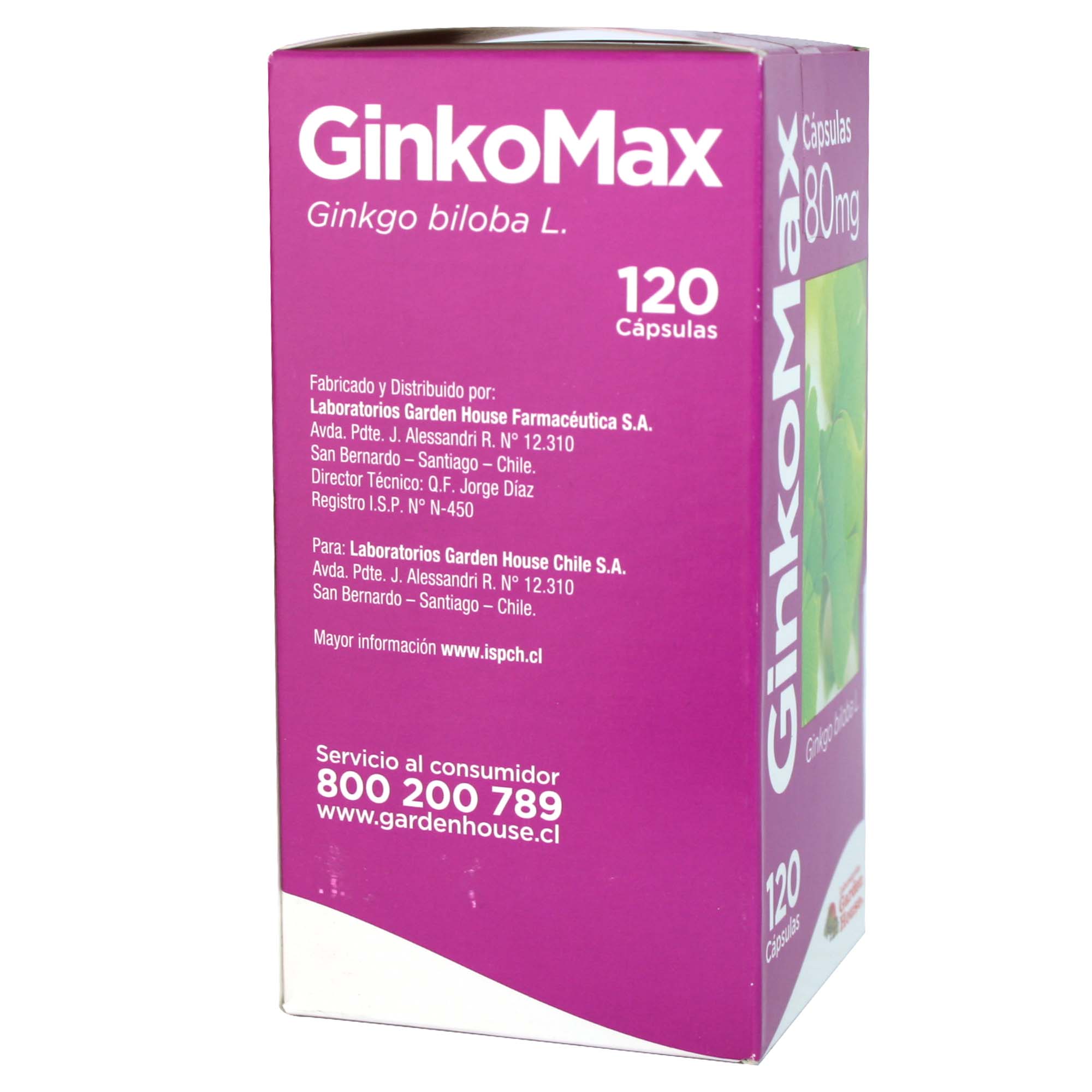 Ginkomax Ginkgo Biloba 80 mg 120 Cápsulas | Cruz Verde
