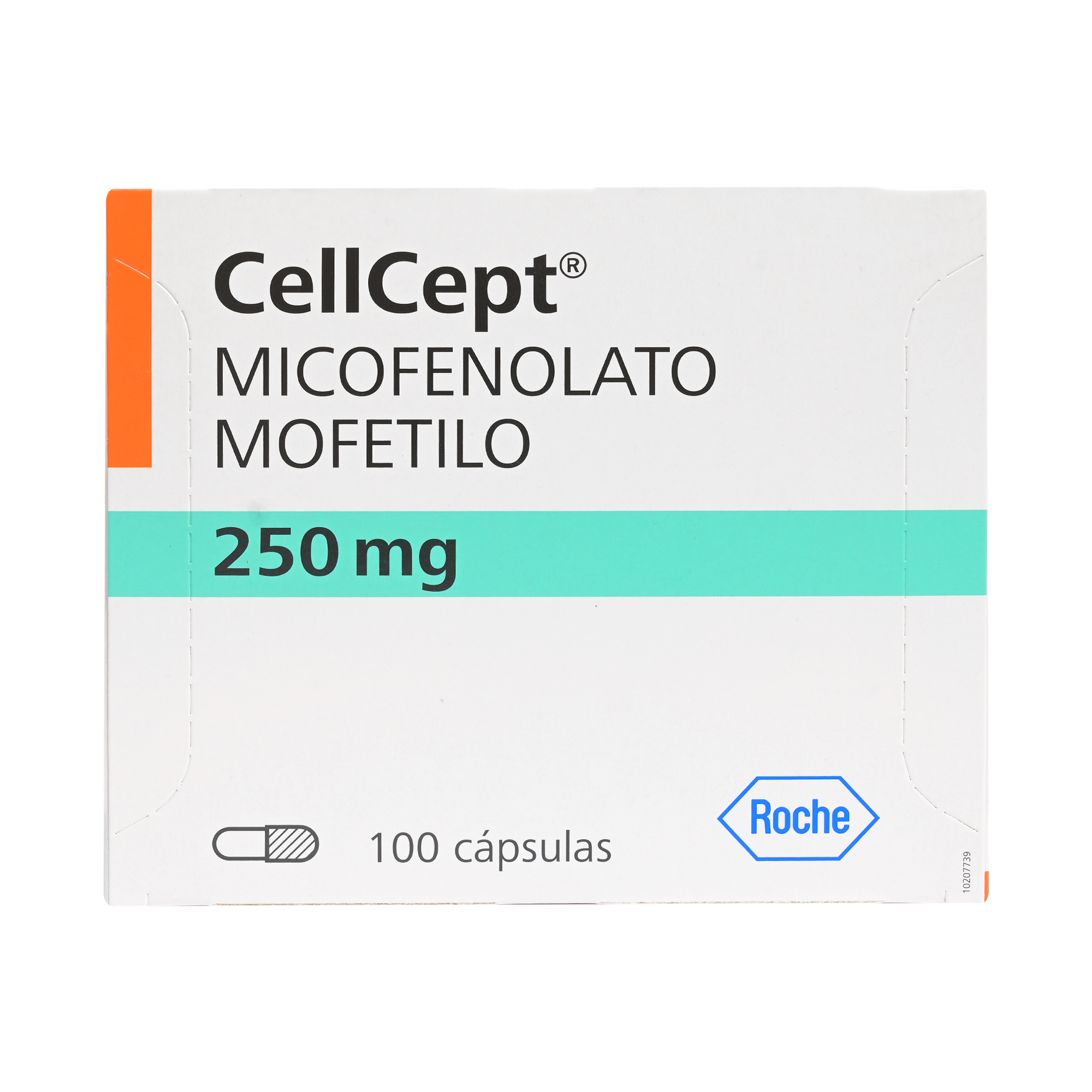 Cellcept Micofenolato Mofetilo 250 mg 100 Cápsulas | Cruz Verde